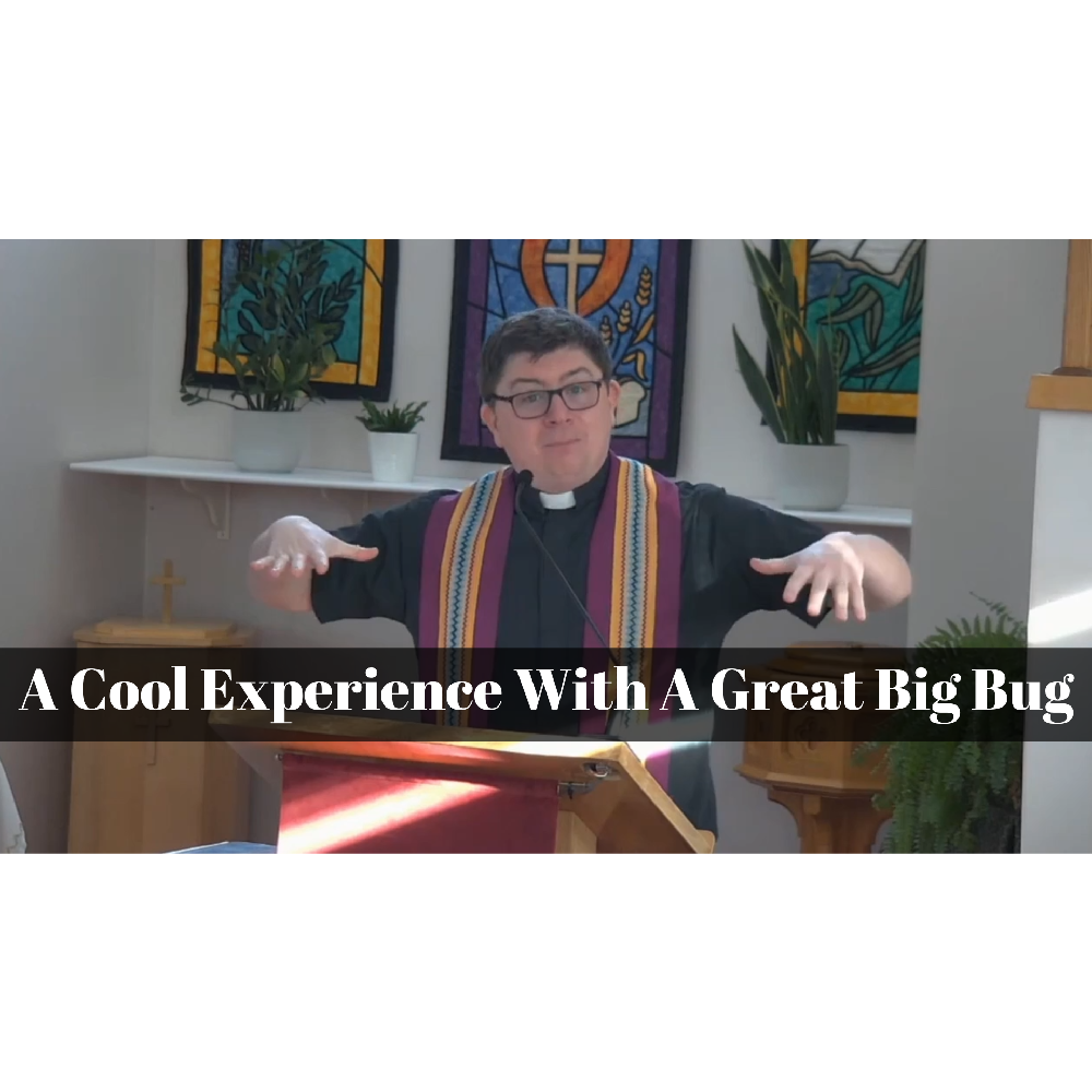 March 26, 2023 – Lent 05: “A Cool Experience with a Great Big Bug” A W ...